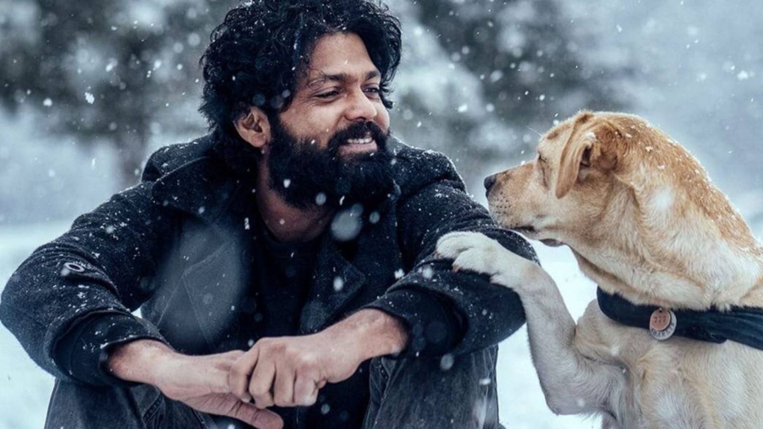 Were You Aware Of These 10 Dog Breeds That Have Been Used In Bollywood ...