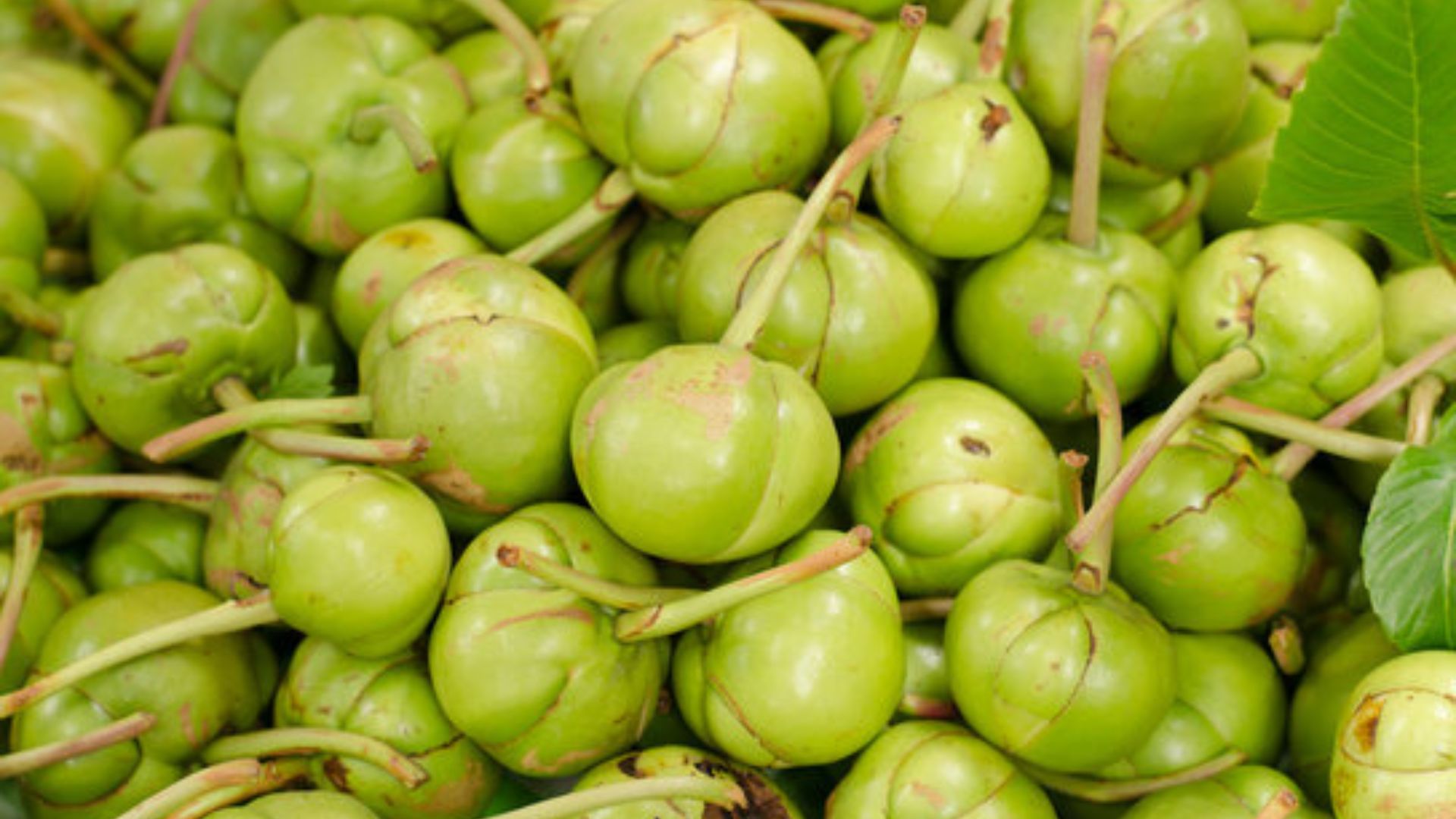 List Of Exotic Fruits In India That Have Amazing Health Benefits