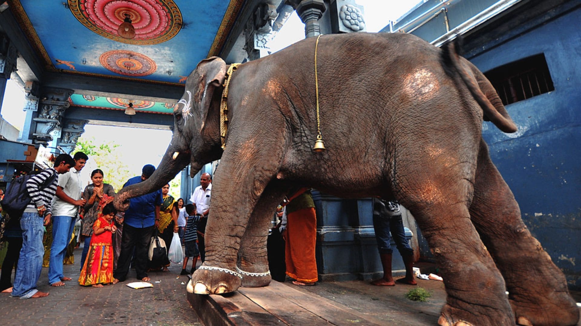 Uncovering the Divine: Hidden Temples of Lord Ganesha In India