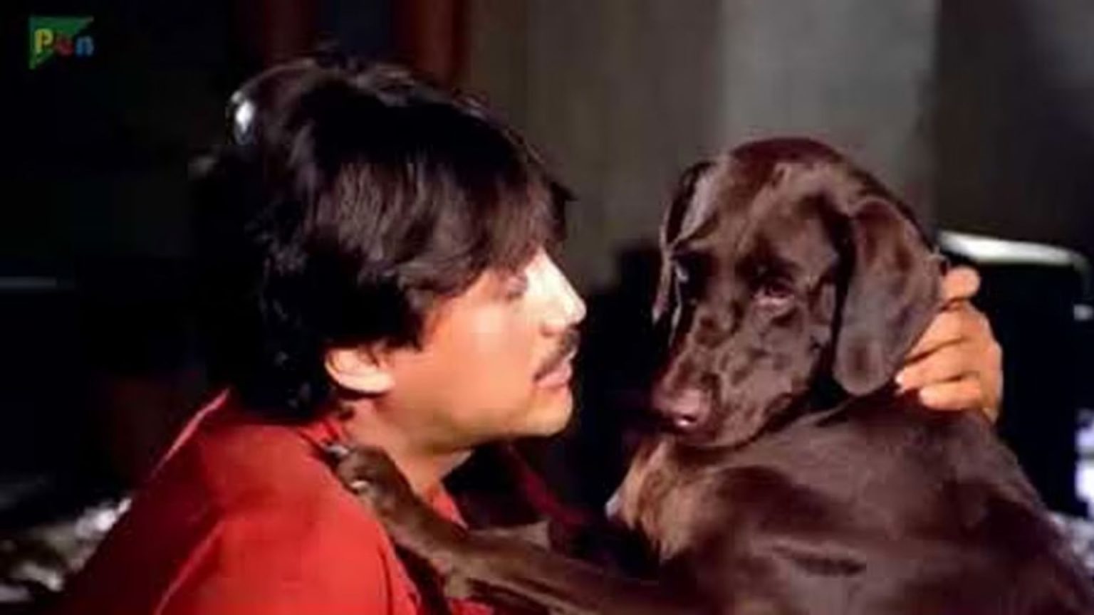Were You Aware Of These 10 Dog Breeds That Have Been Used In Bollywood ...
